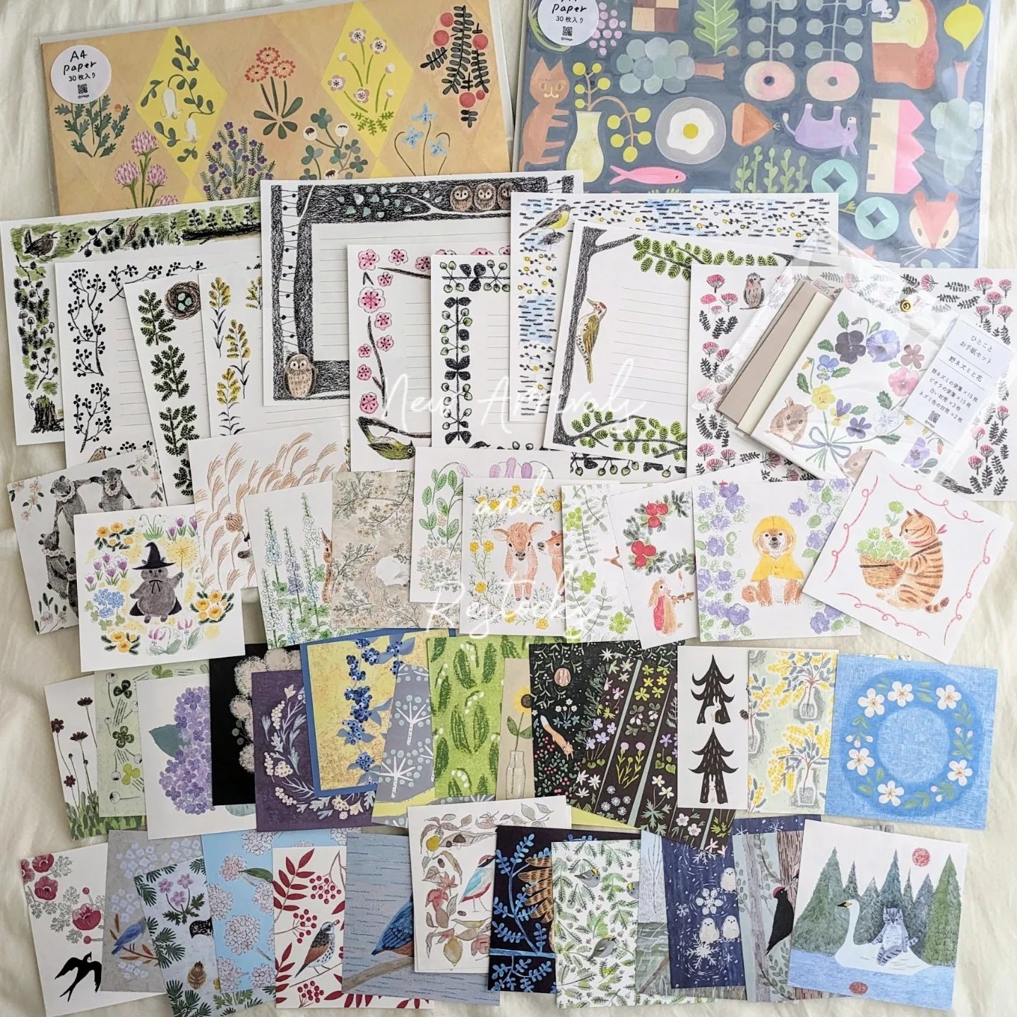 New arrivals and Restocks from 4legs♡ – PAPER SHOP JAPAN